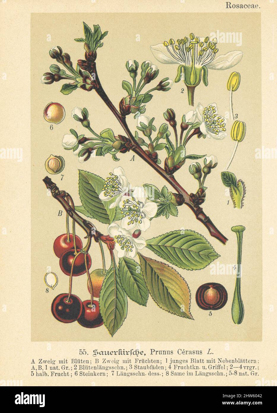 Original vintage lithograph poster hi-res stock photography and images ...