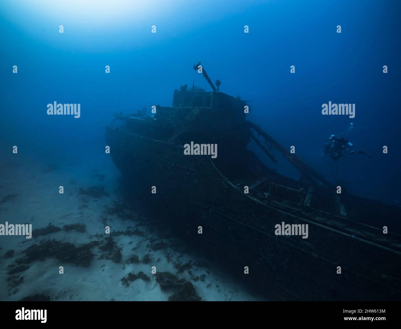 Seascape with shipwreck, various fish, coral, and sponge in the coral ...