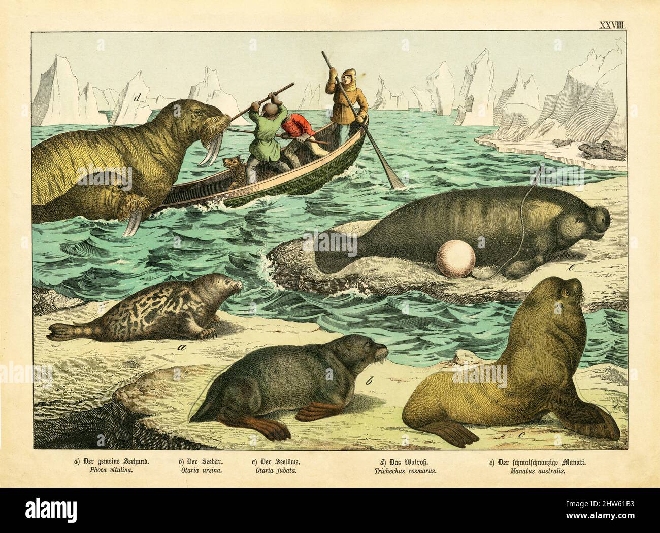 North sea fishermen 19th century hi-res stock photography and images ...