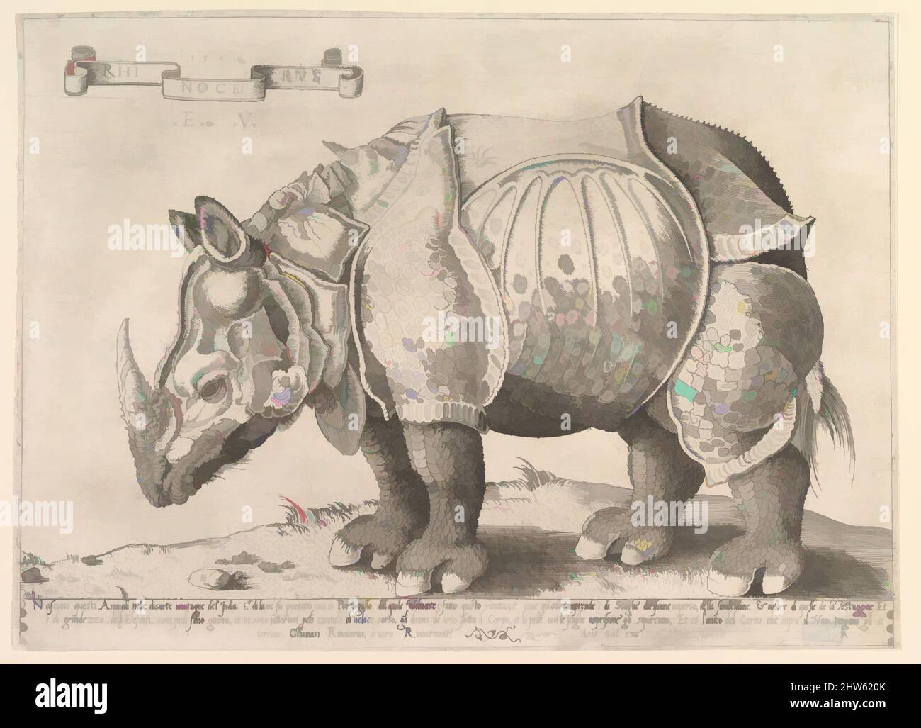 Albrecht durer the rhinoceros hi-res stock photography and images - Alamy