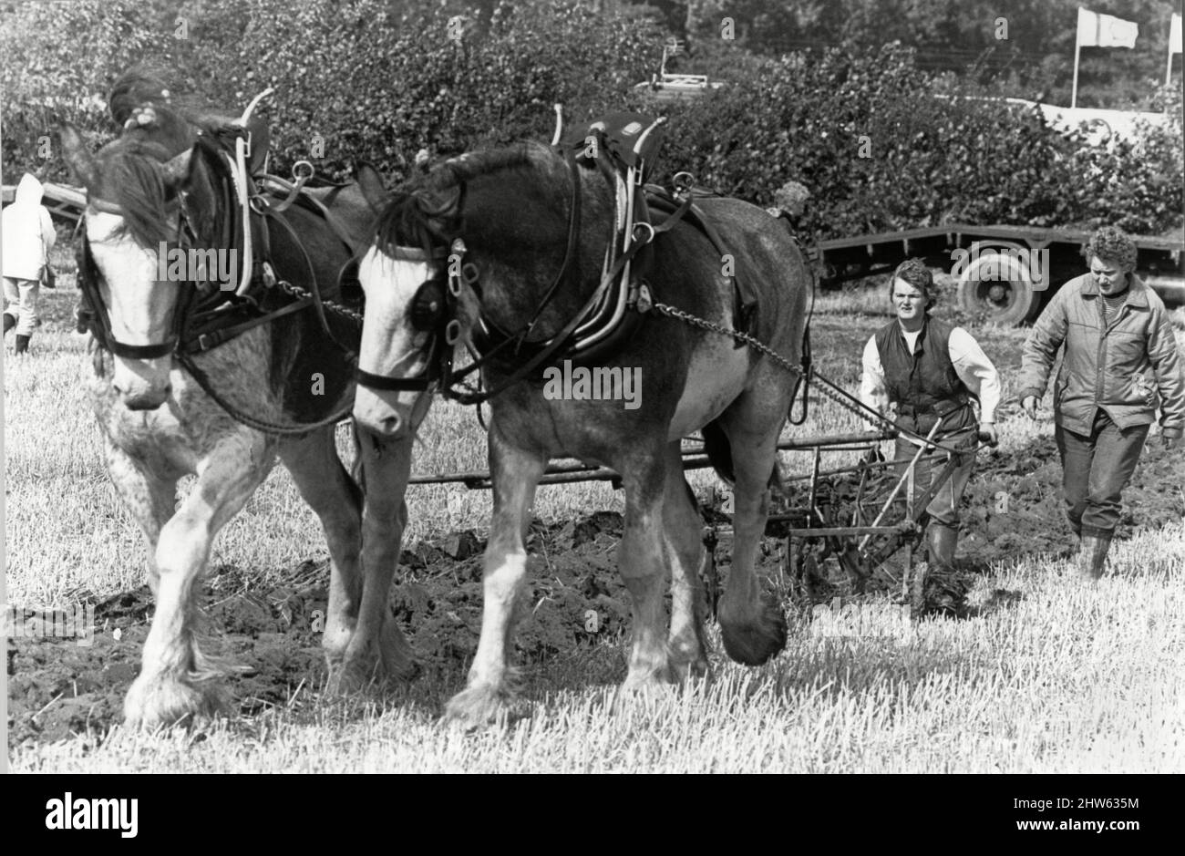 West hallam, derbyshire hi-res stock photography and images - Alamy