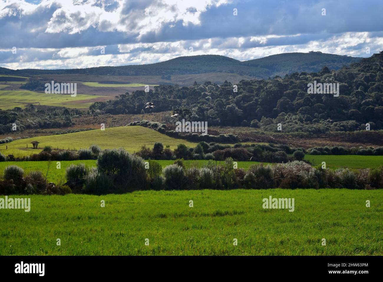 Palmas brazil hi-res stock photography and images - Alamy