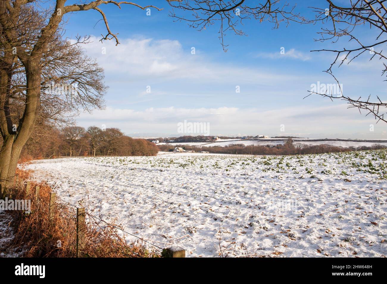 Causey burn hi-res stock photography and images - Alamy