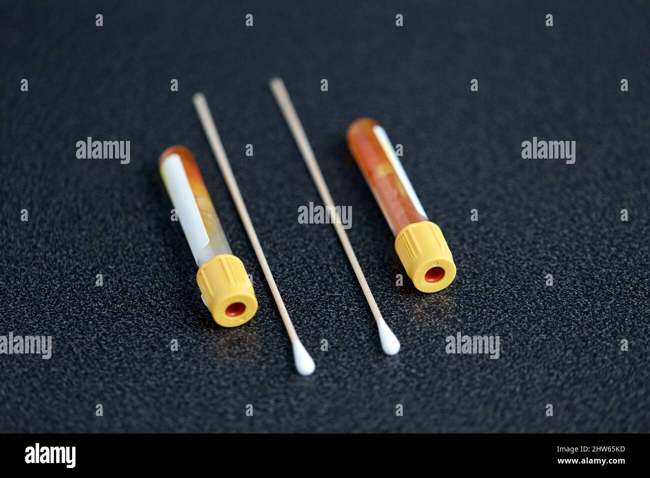 test tubes with blood plasma and cotton swabs Stock Photo - Alamy