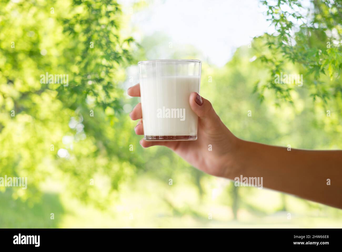 close up of female hand holding glass of milk Stock Photo - Alamy
