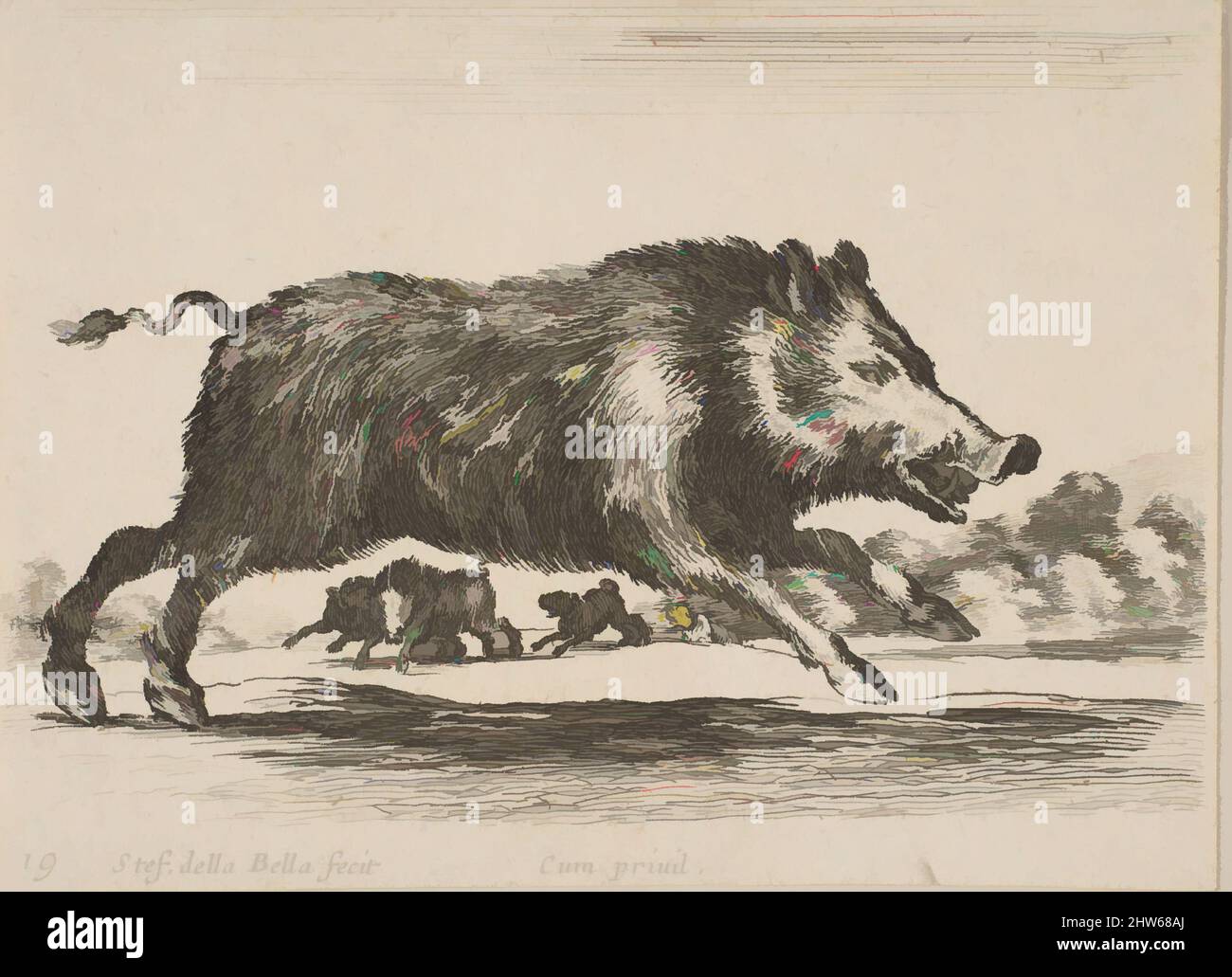 Third animals hi-res stock photography and images - Alamy