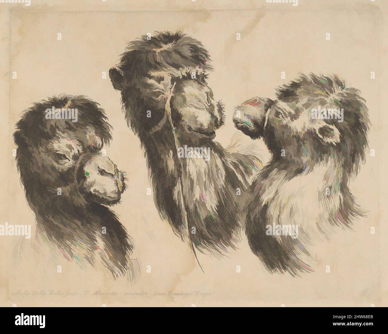 Art inspired by Three Camel Heads, ca. 1641, Etching, state ii or iii ...