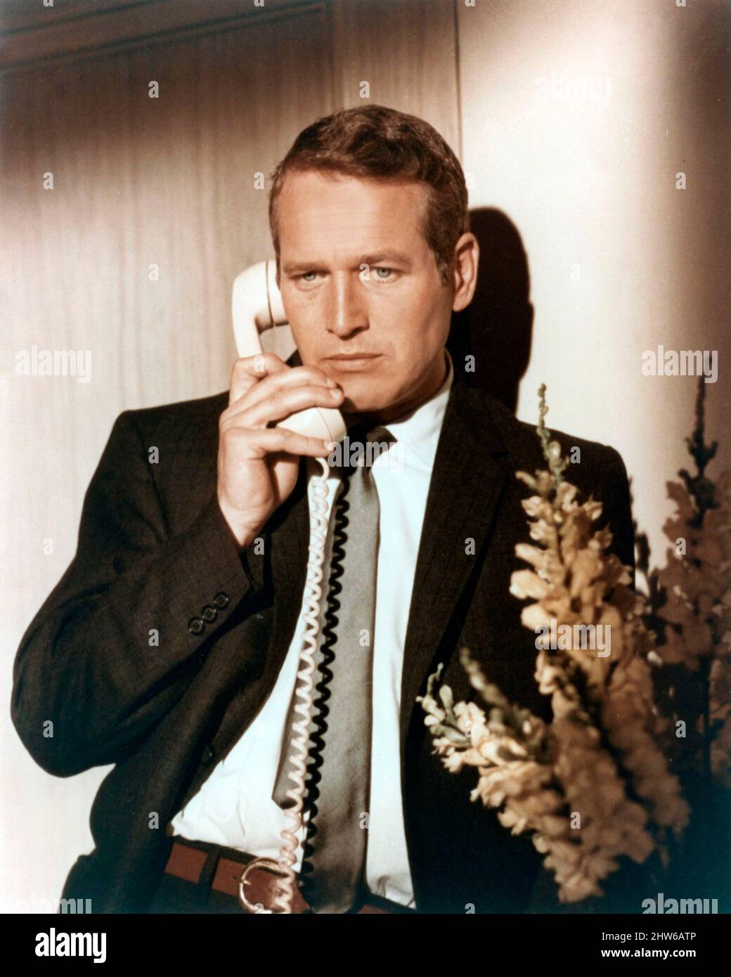 PAUL NEWMAN in HARPER (1966), directed by JACK SMIGHT. Credit: WARNER ...