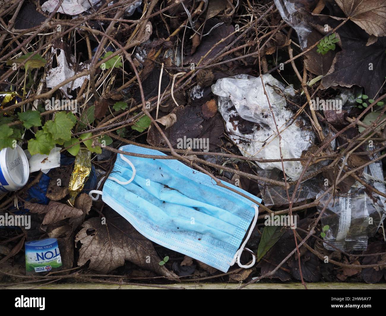Discarded covid face mask. Themes: litter, trash, pollution, recycling ...
