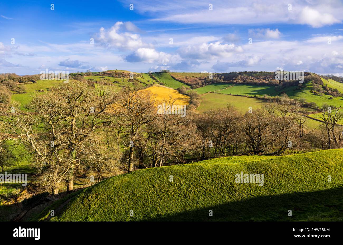 Beautiful countryside and magnificent views of the Somerset countryside ...