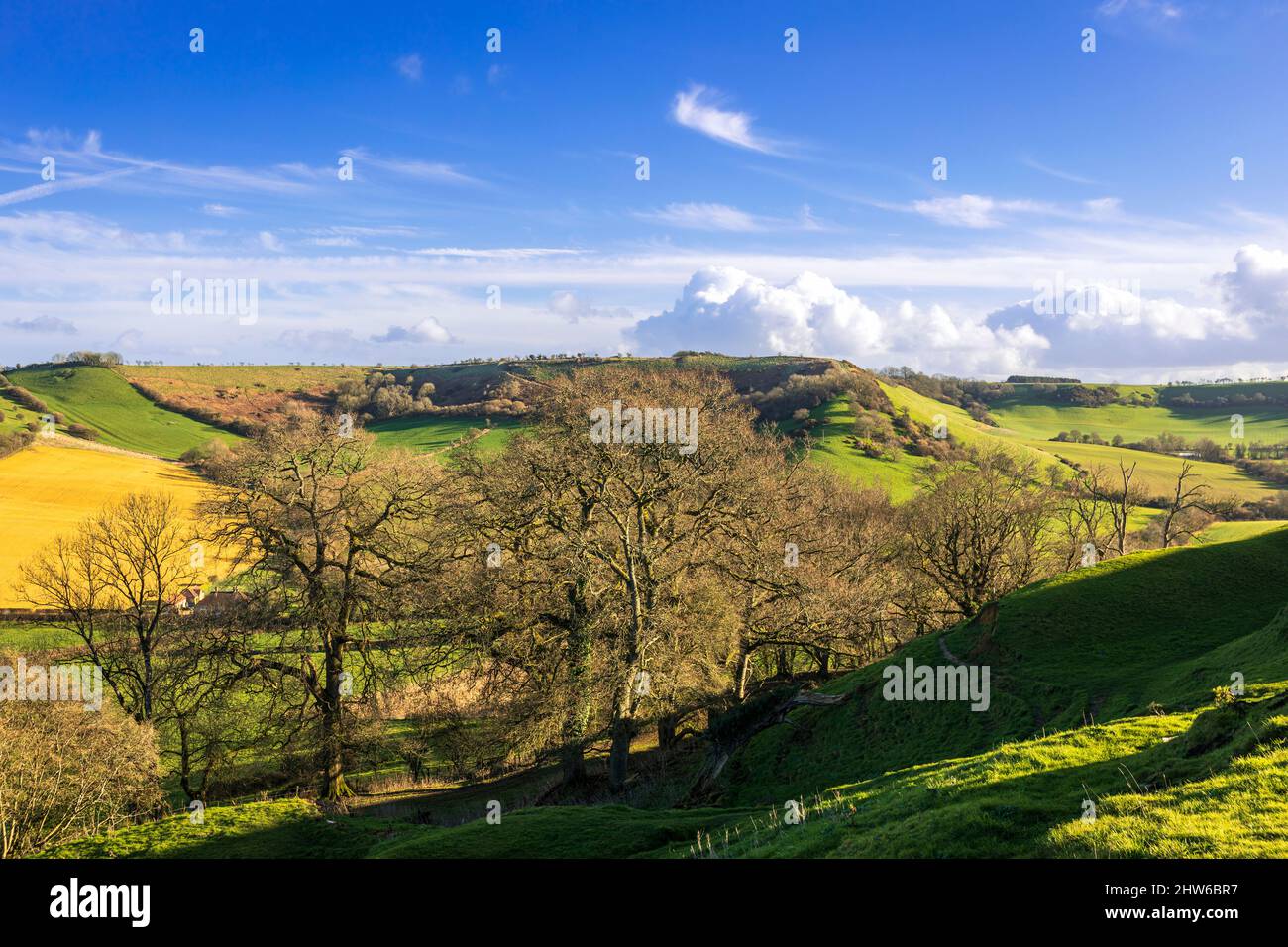 Beautiful countryside and magnificent views of the Somerset countryside ...