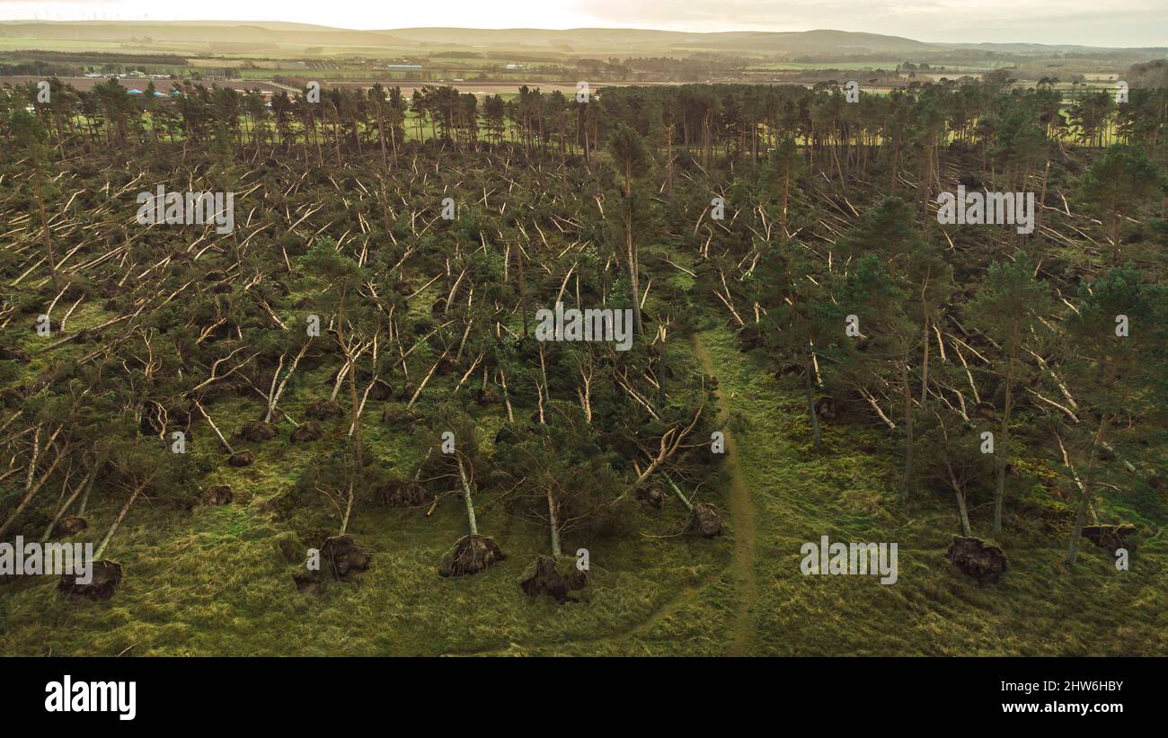 Aerial views reveal the devastation at John Muir Country Park in Dunbar ...