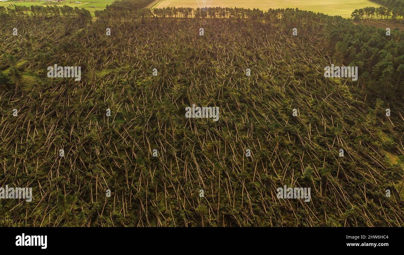 Aerial views reveal the devastation at John Muir Country Park in Dunbar ...