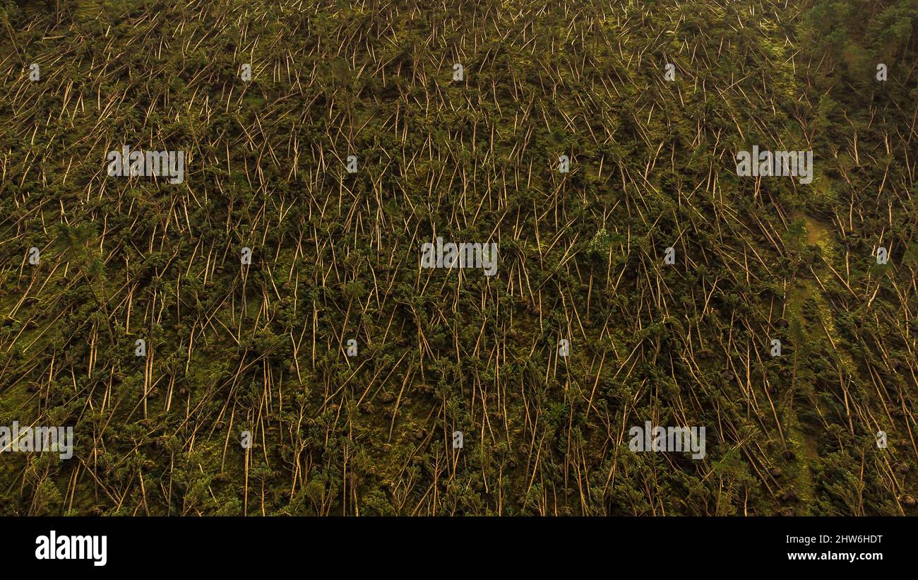 Aerial views reveal the devastation at John Muir Country Park in Dunbar ...
