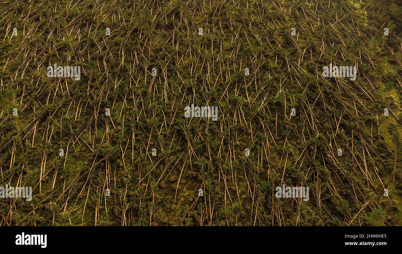 Aerial views reveal the devastation at John Muir Country Park in Dunbar ...