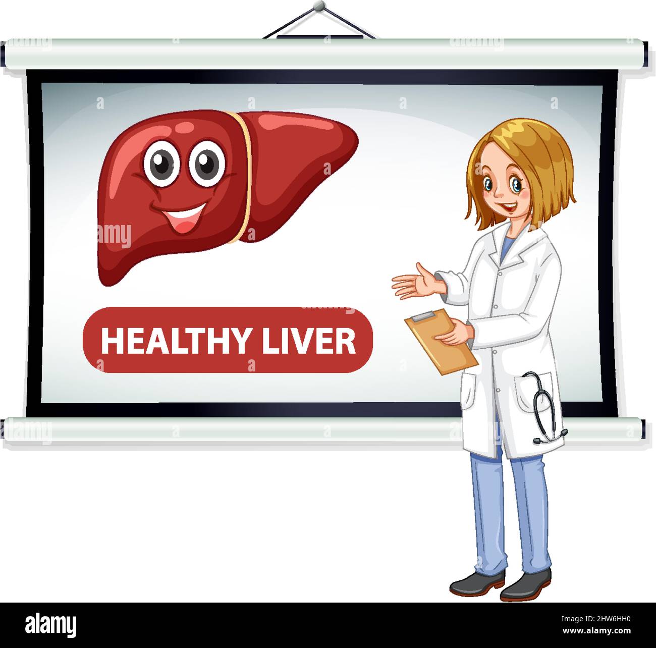 A doctor cartoon character explaining healthy liver illustration Stock ...