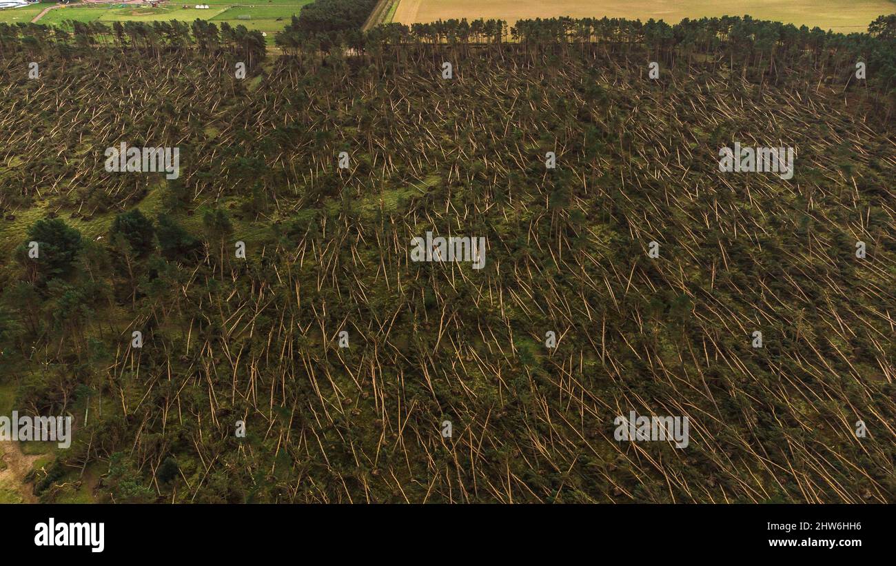 Aerial views reveal the devastation at John Muir Country Park in Dunbar ...