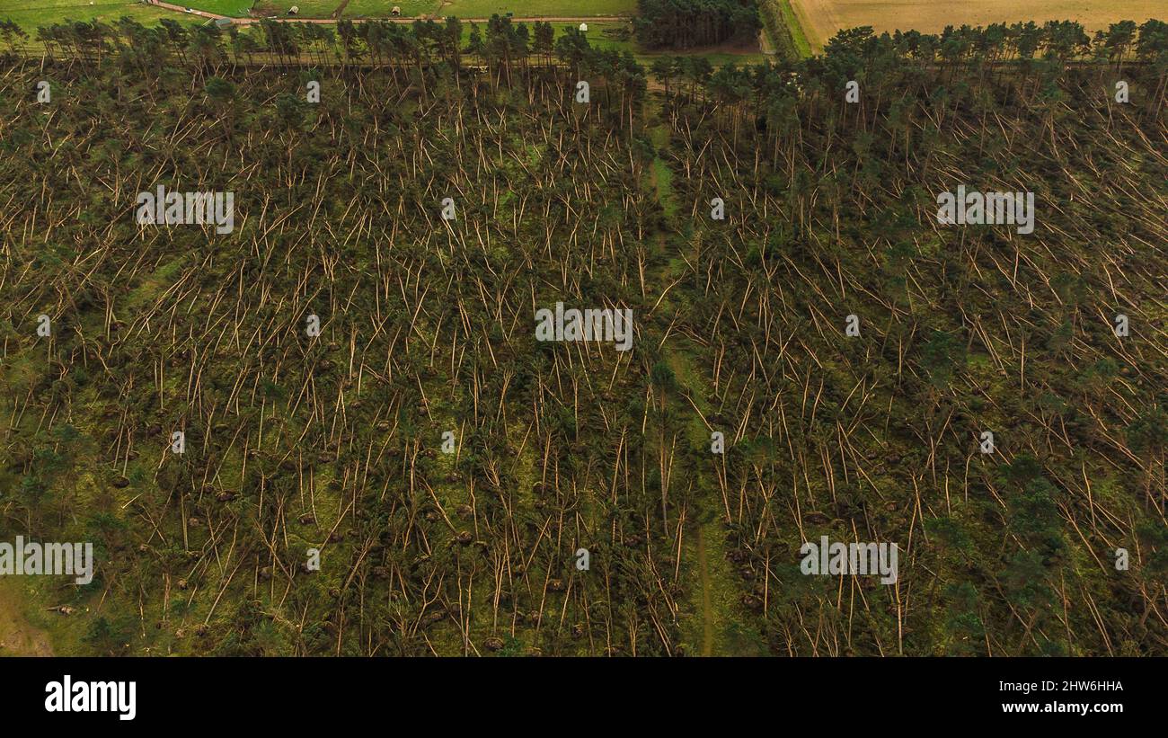 Aerial views reveal the devastation at John Muir Country Park in Dunbar ...