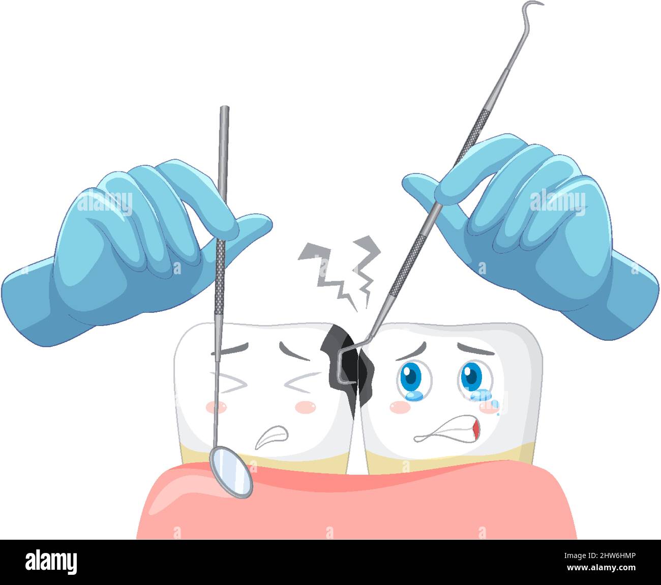 Dentist hand with human teeth model illustration Stock Vector Image ...