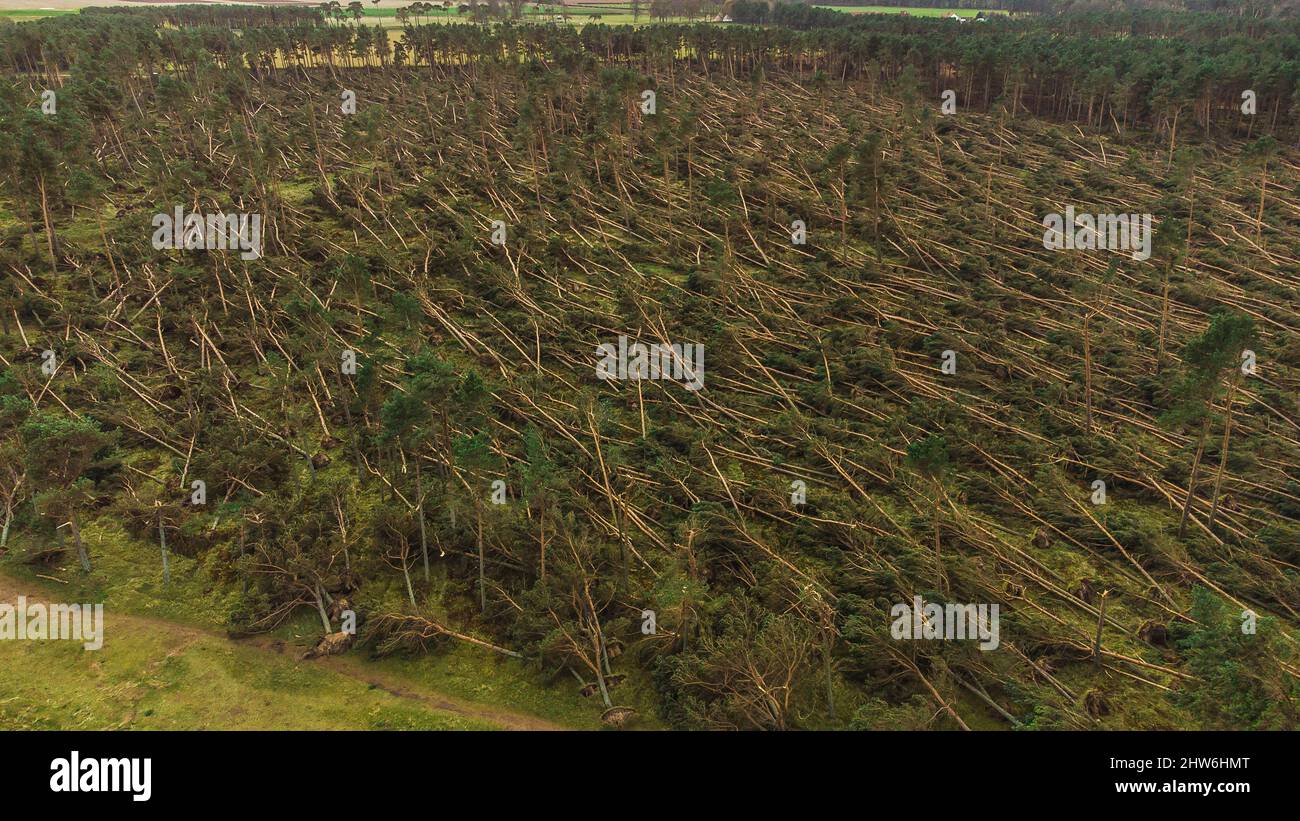 Aerial views reveal the devastation at John Muir Country Park in Dunbar ...