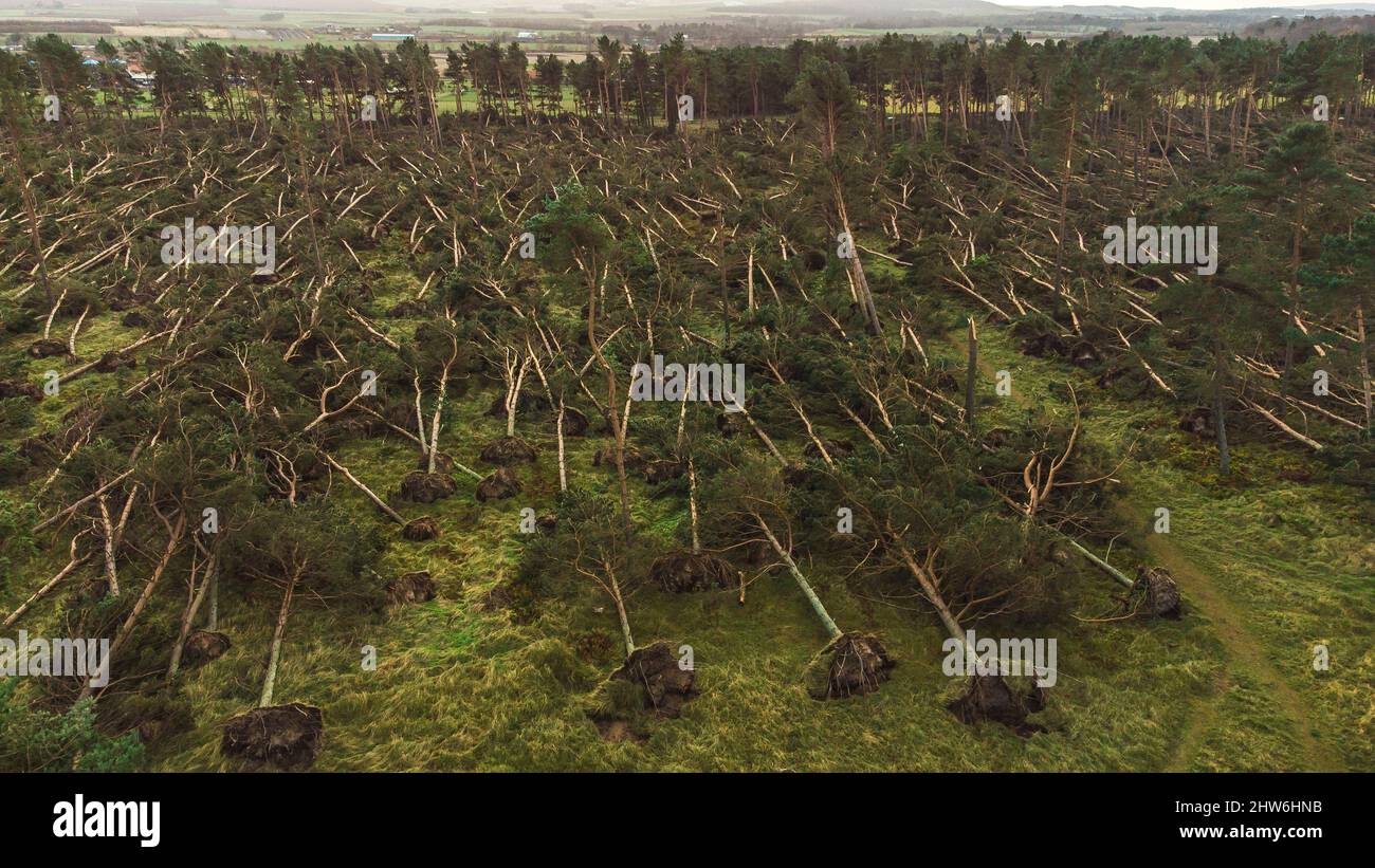 Aerial views reveal the devastation at John Muir Country Park in Dunbar ...