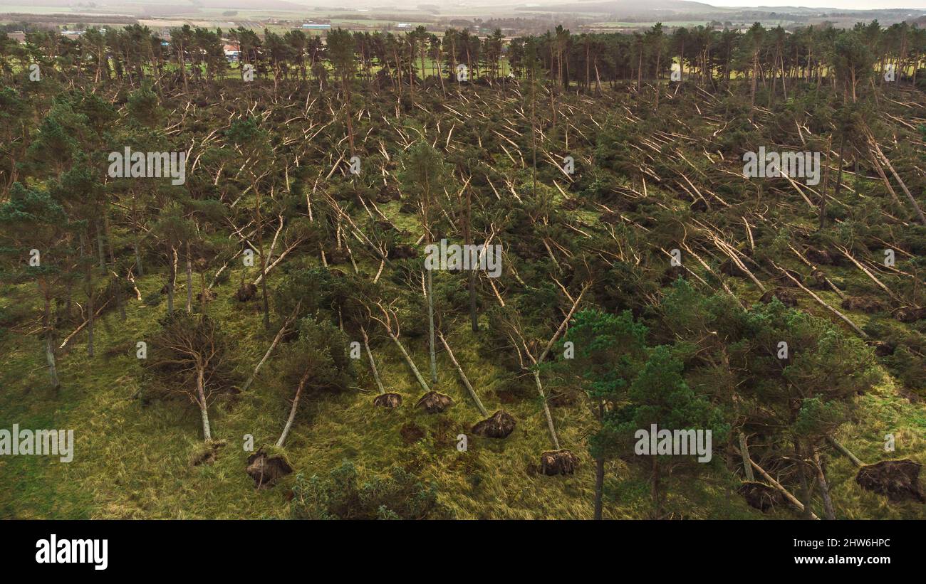 Aerial views reveal the devastation at John Muir Country Park in Dunbar ...