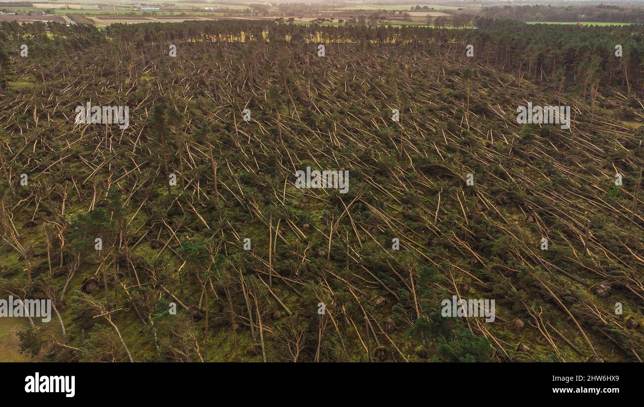 Aerial views reveal the devastation at John Muir Country Park in Dunbar ...