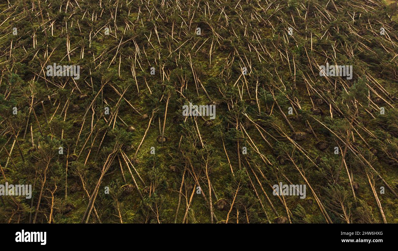 Aerial views reveal the devastation at John Muir Country Park in Dunbar ...