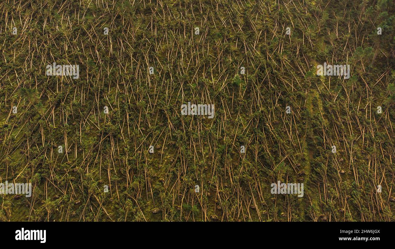 Aerial views reveal the devastation at John Muir Country Park in Dunbar ...