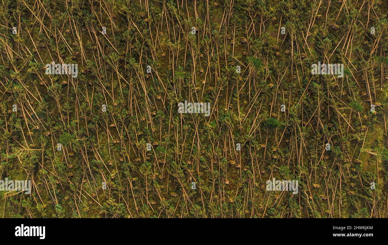 Aerial views reveal the devastation at John Muir Country Park in Dunbar ...