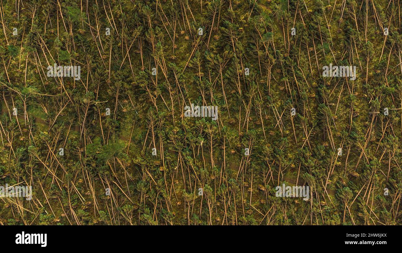 Aerial views reveal the devastation at John Muir Country Park in Dunbar ...