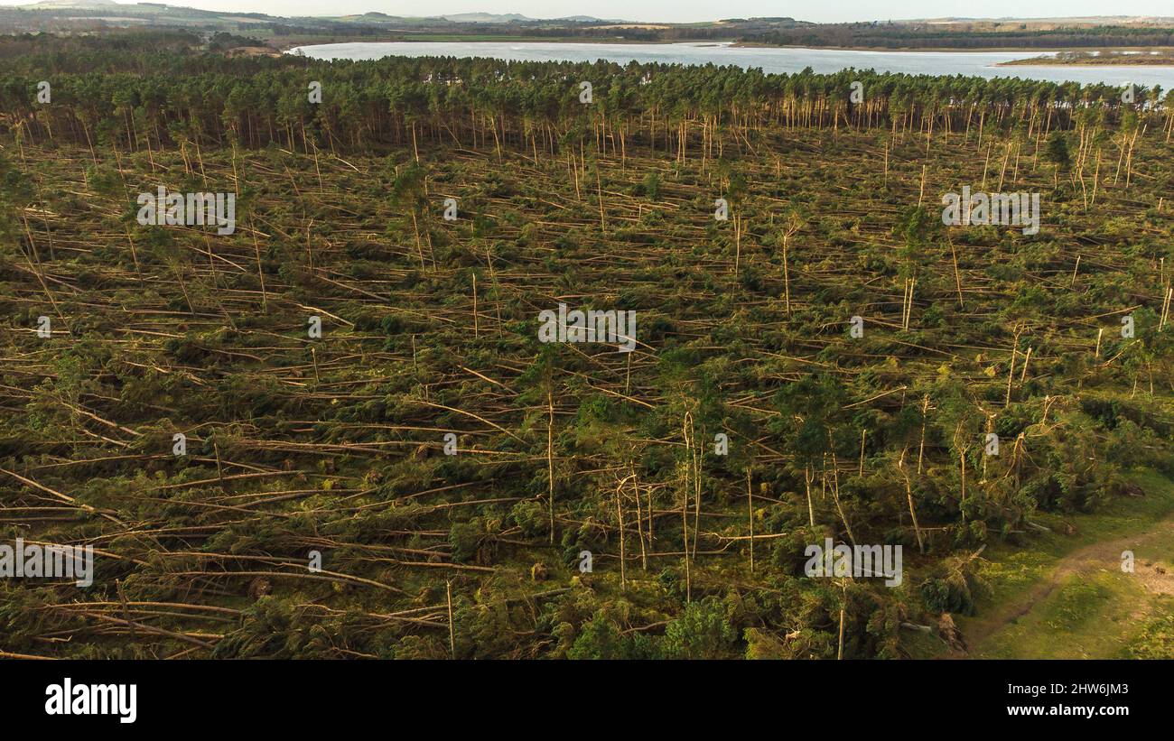Aerial views reveal the devastation at John Muir Country Park in Dunbar ...