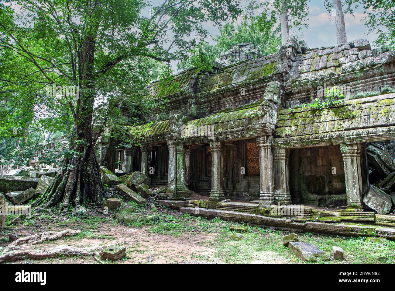 Ancient Khmer architecture ,Ta Prohm temple ruins hidden in jungle in ...