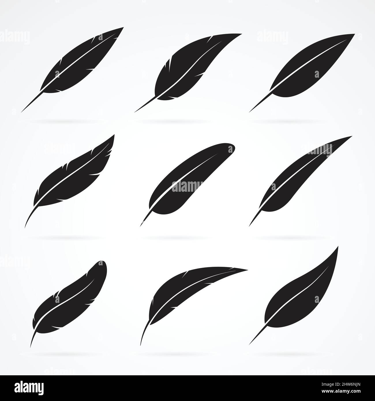 Vector group of feather on white background. Easy editable layered ...