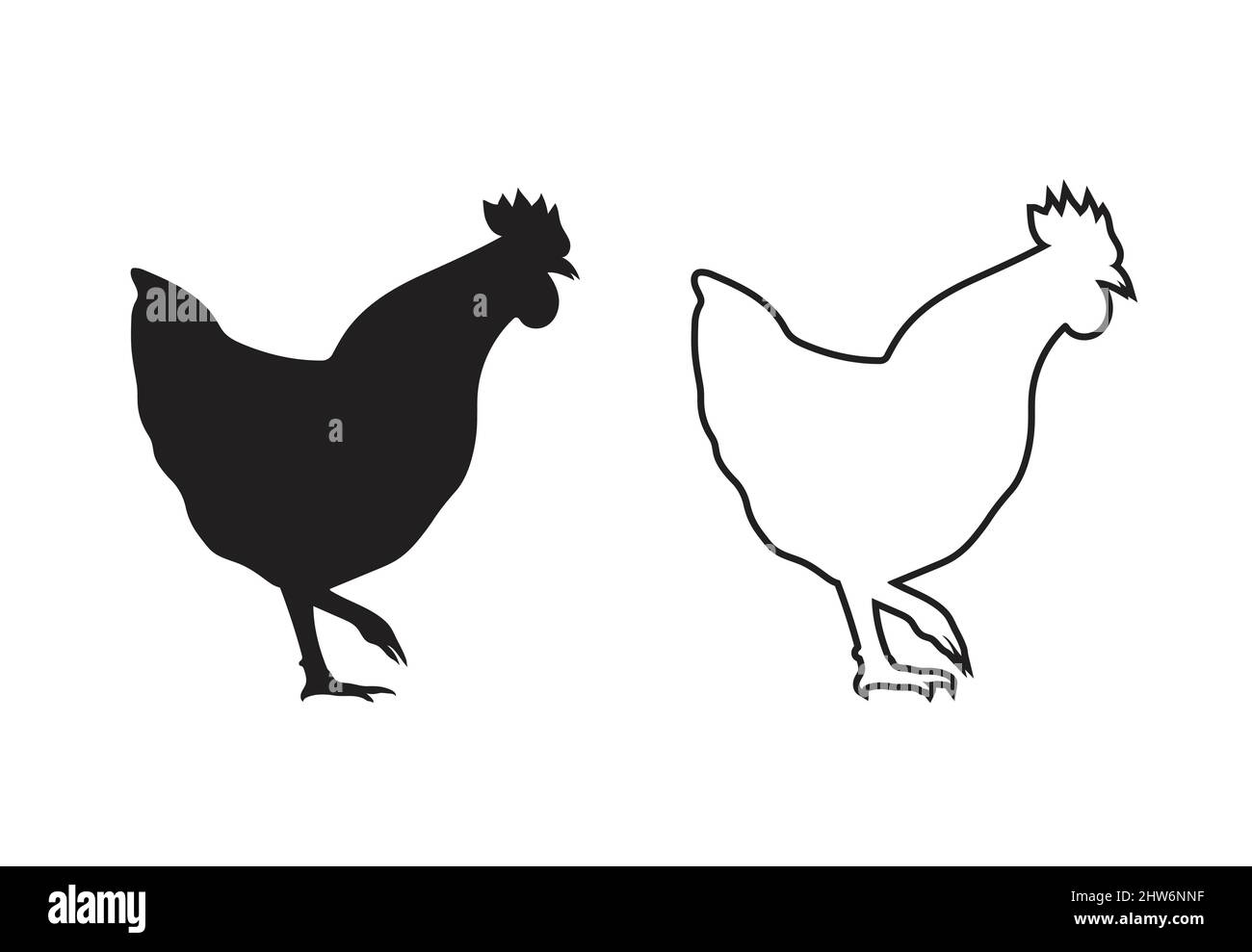 Vector image of chicken on a white background. Easy editable layered ...