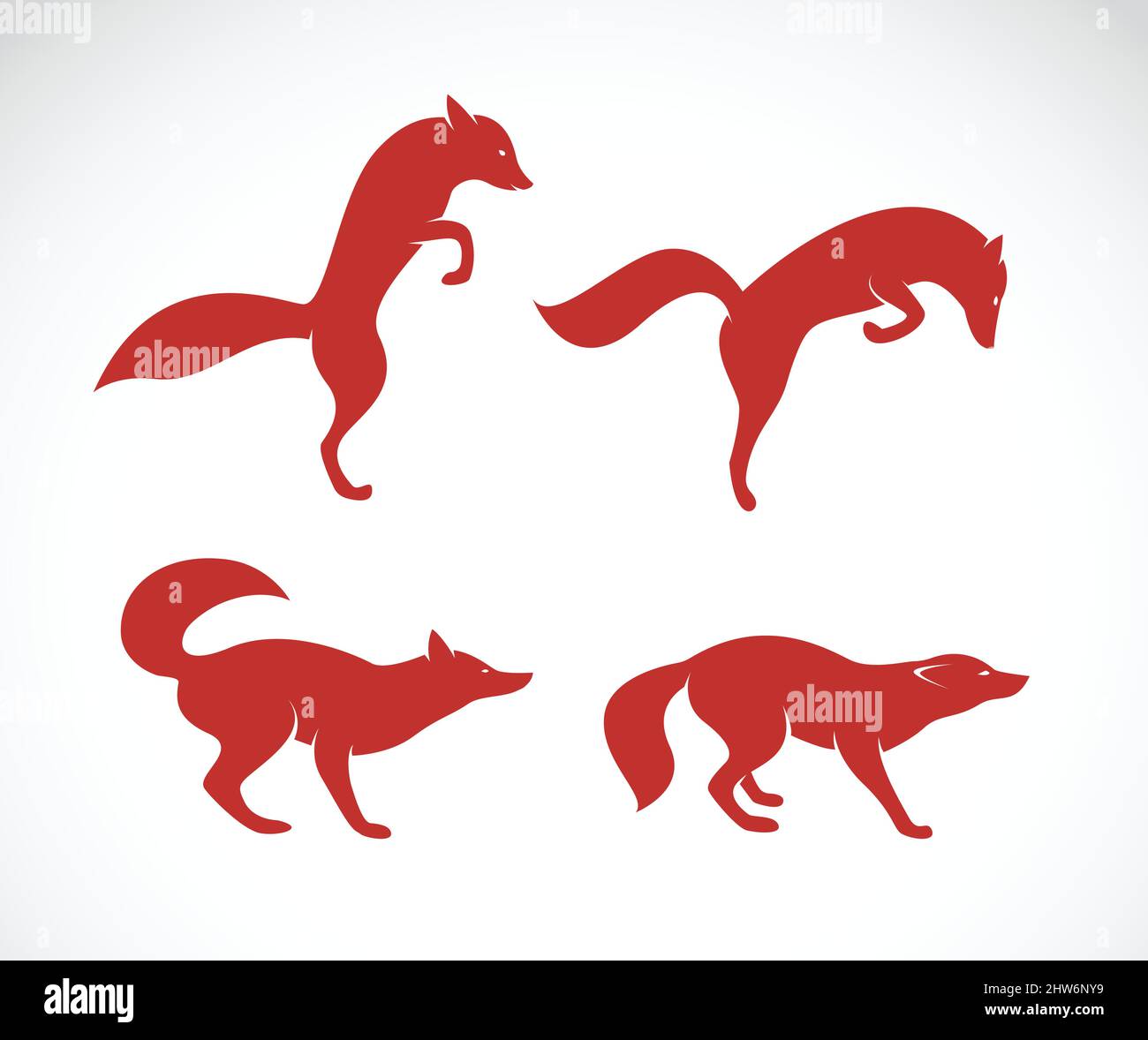 Vector image of fox on white background. Easy editable layered vector ...