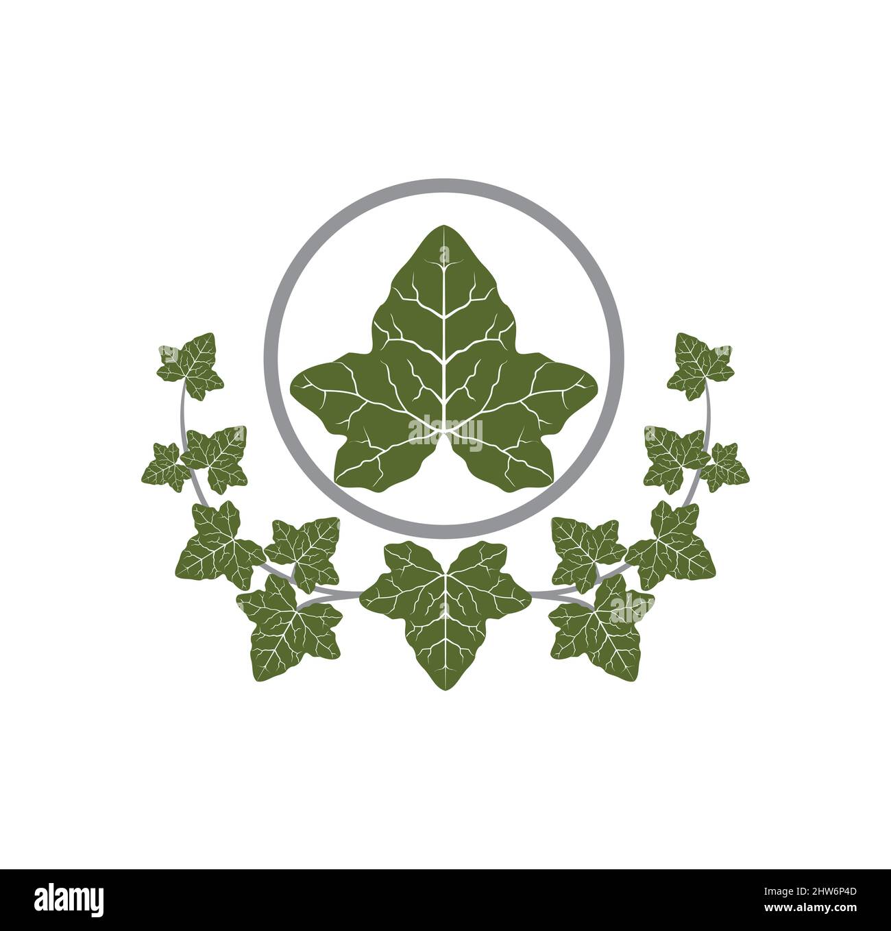 Ivy logos Stock Vector Images - Alamy