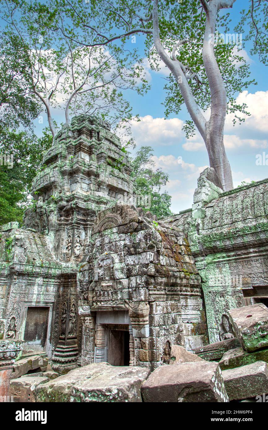 Ancient Khmer architecture ,Ta Prohm temple ruins hidden in jungle in ...