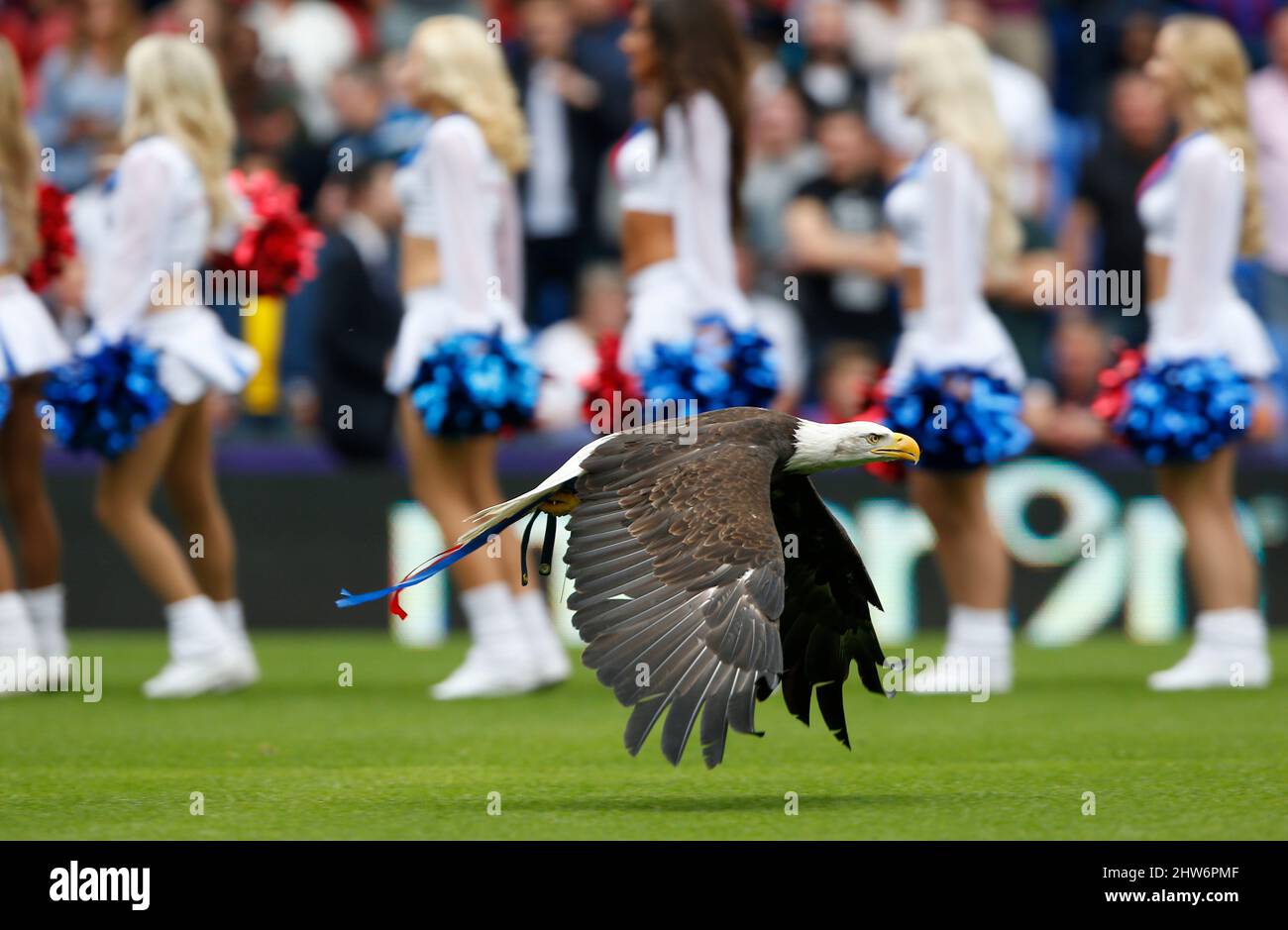 Team mascot hi-res stock photography and images - Alamy