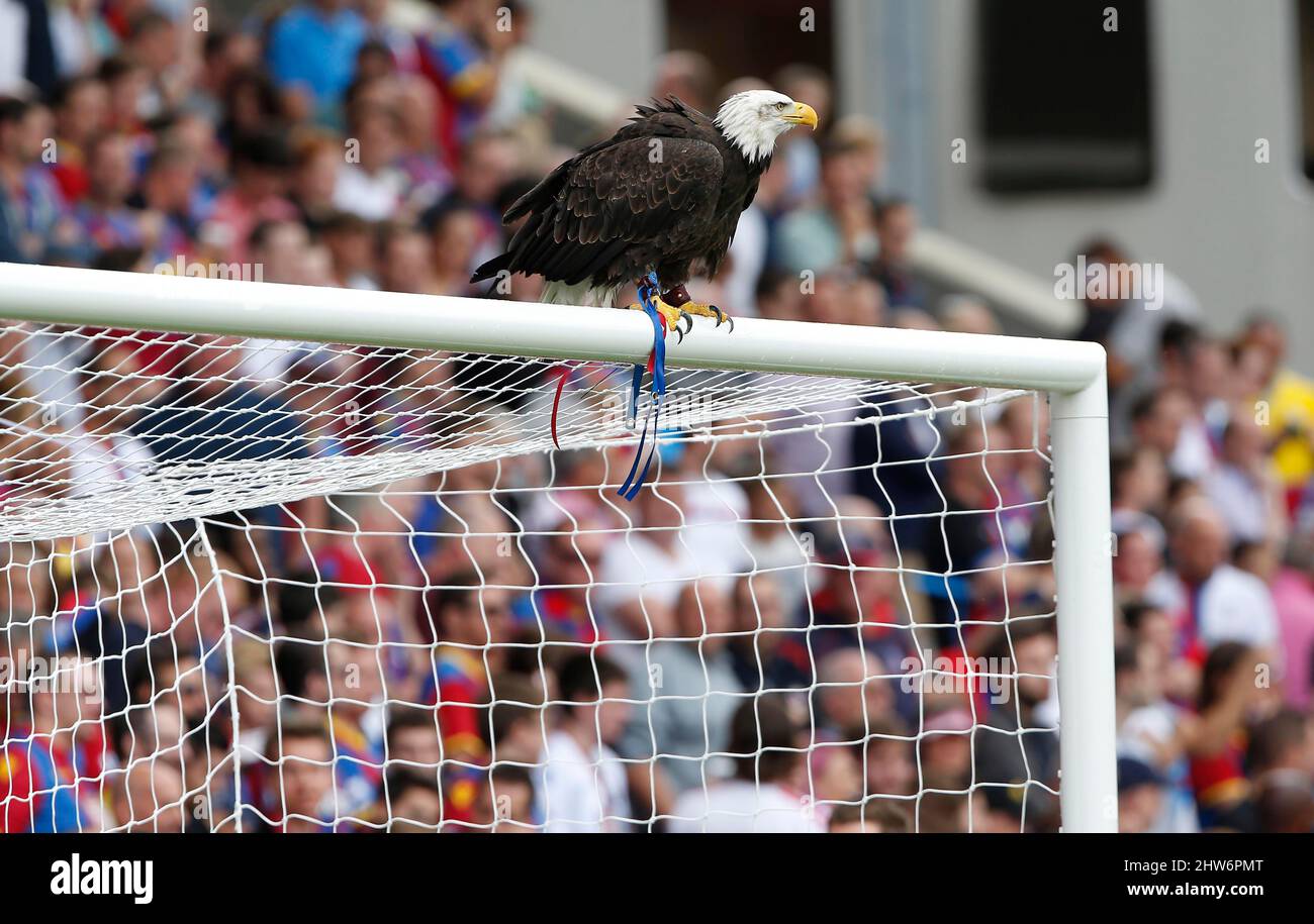 Kayla eagle hi-res stock photography and images - Alamy