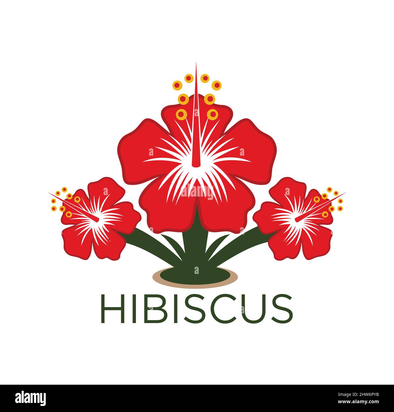 Hibiscus Logo Design