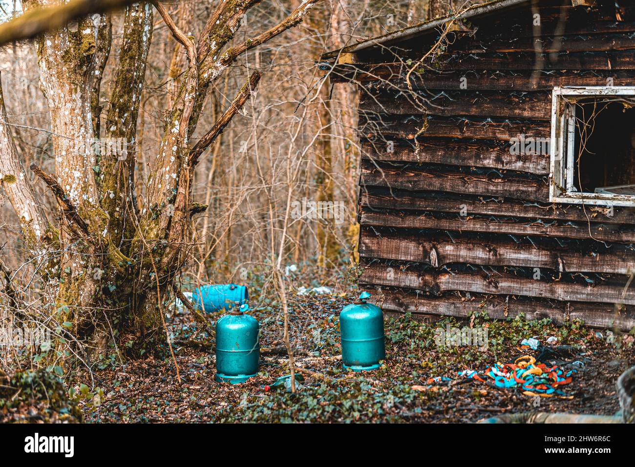 Old wooden cabin in a polluted park surrounded by trees Ardennes ...