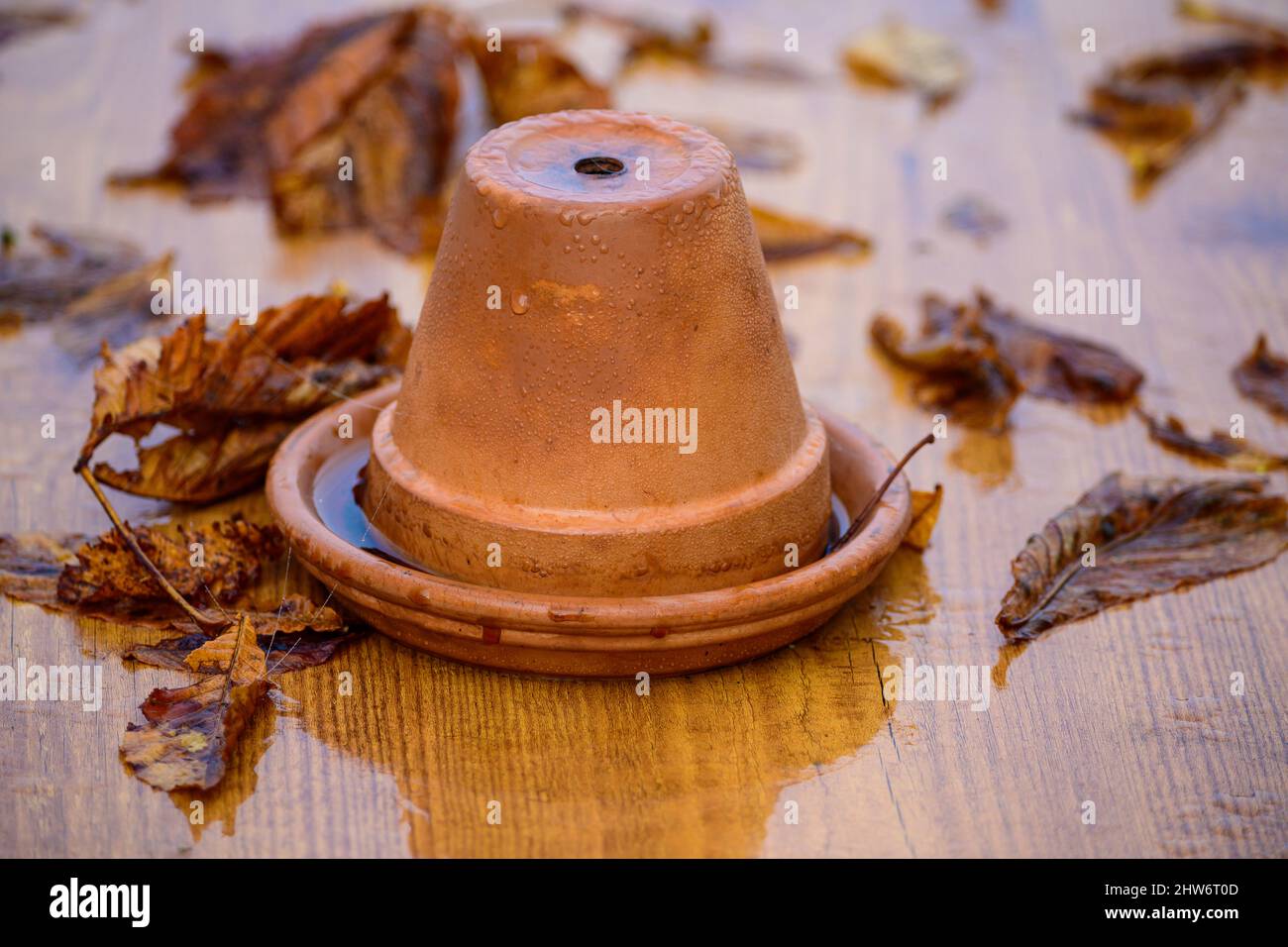 Flowerpot turned upside down Stock Photo - Alamy