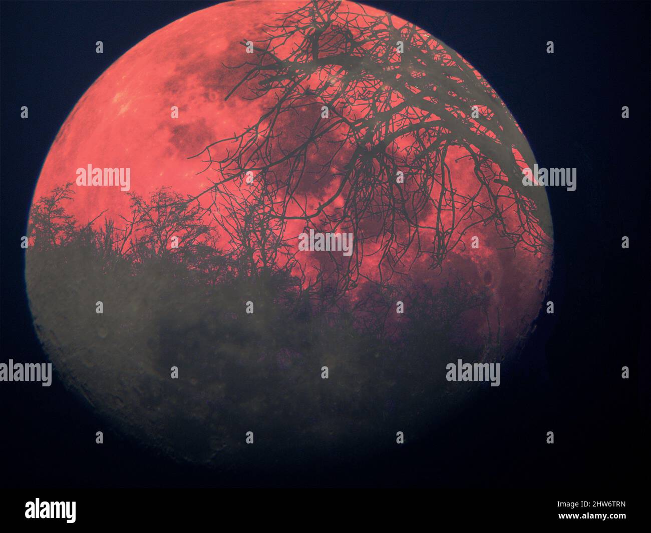 Red clouds blue night sky stars bright hi-res stock photography and ...