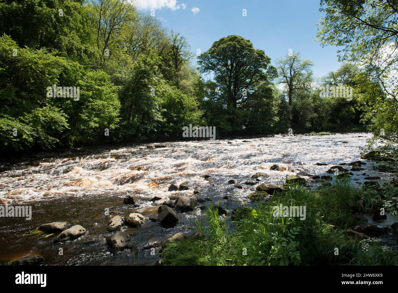 Roe Valley Country Park, County Derry, Northern Ireland Stock Photo - Alamy
