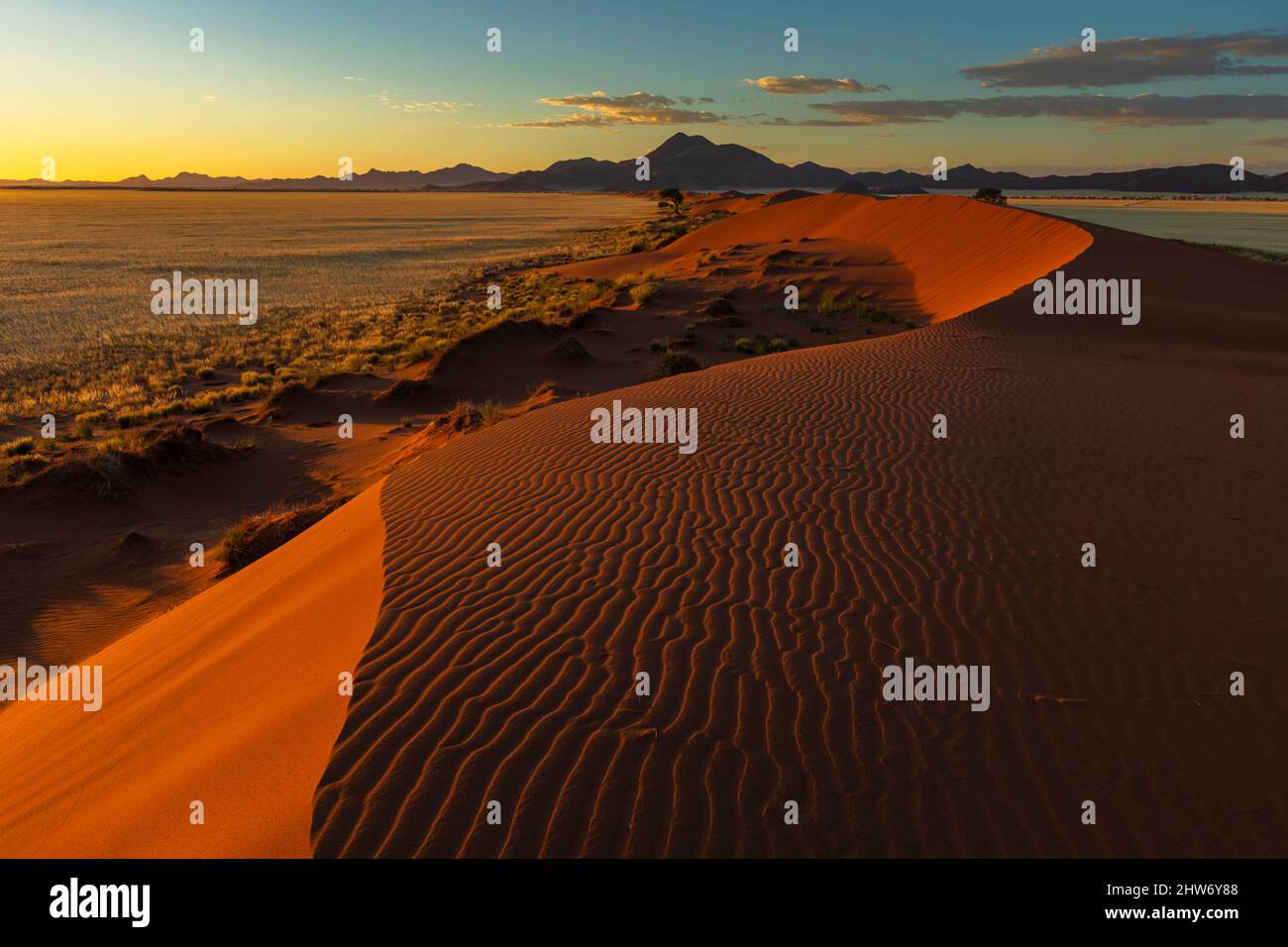 Wind swept patterns in the sand on the dune Namib Desert Namibia Stock ...