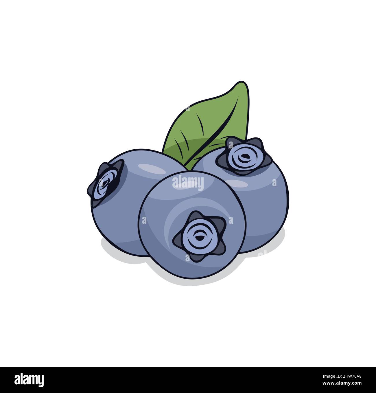 Blueberry design illustration vector eps format , suitable for your ...