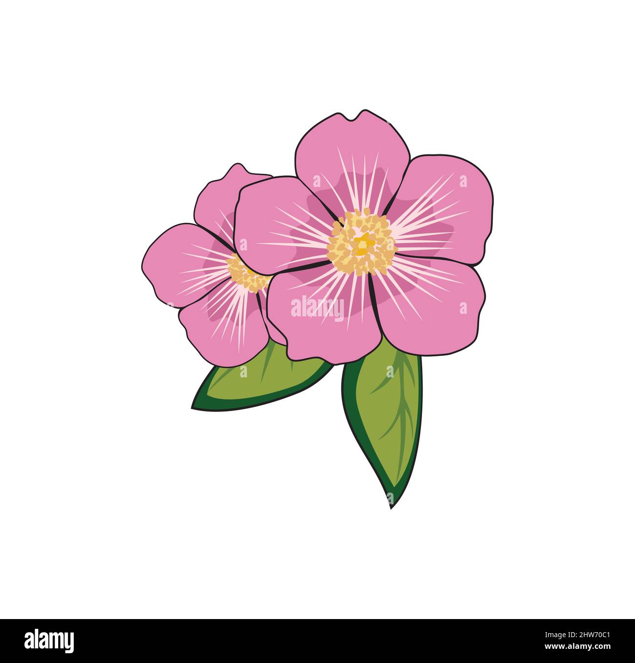 Alberta rose design illustration vector eps format , suitable for your ...