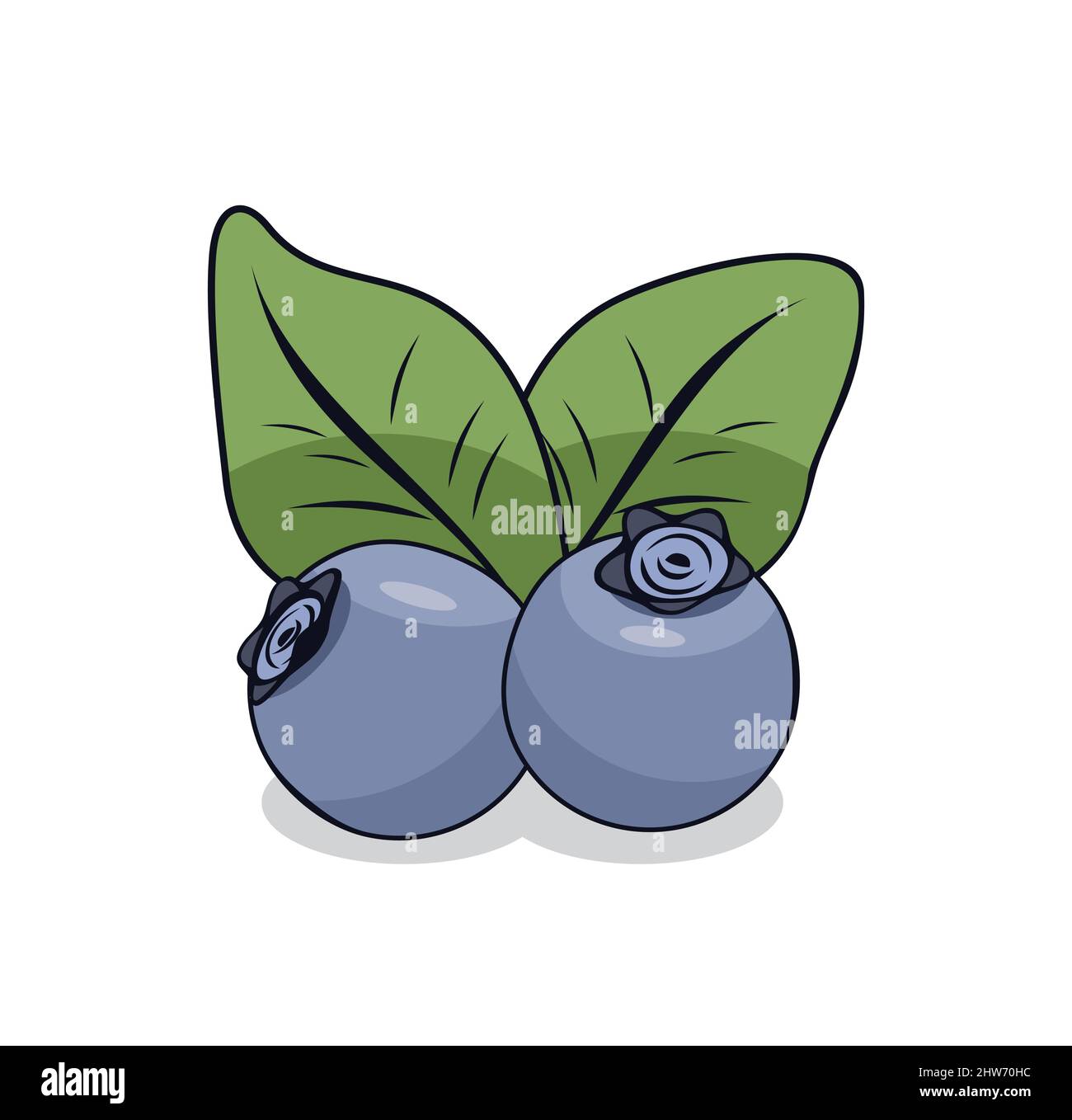 Blueberry design illustration vector eps format , suitable for your ...