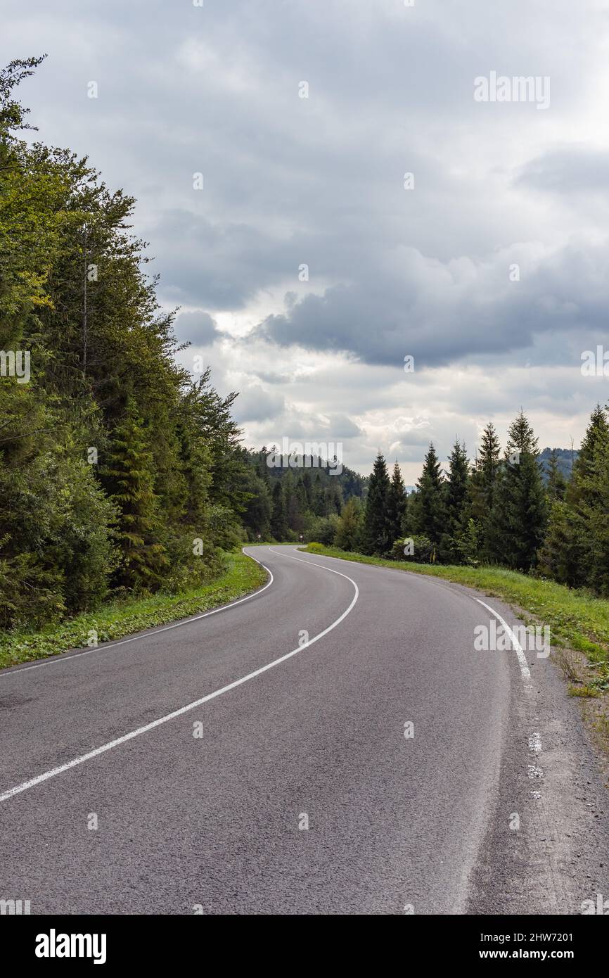View of a long narrow road leading to the dense forest on a cloudy sky ...
